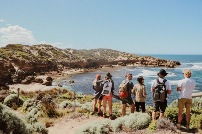 Mornington Peninsula: SUP, Hike, & Hot Springs Trip w/ Lunch - Who Would Love This Tour?
