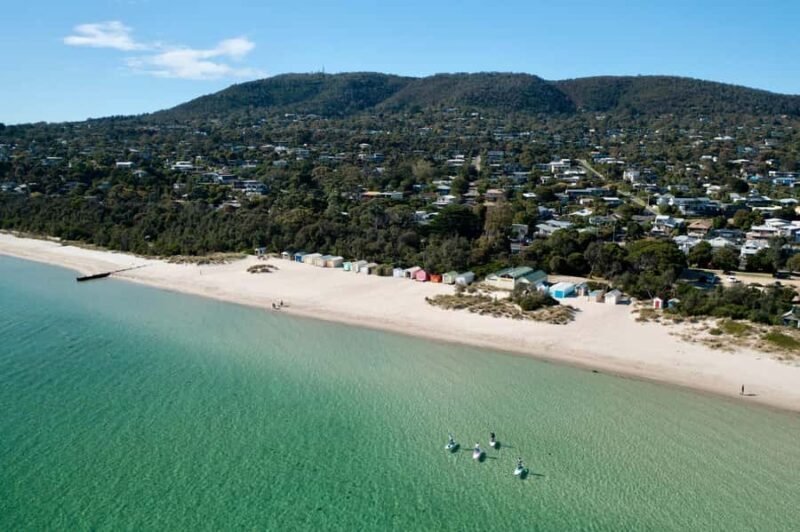 Mornington Peninsula: SUP & Snorkel Safari Tour incl Brunch - Key Points