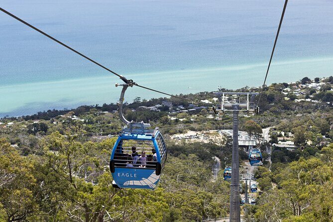 Mornington Peninsula Tour inc chairlift,beach boxes,lunch,choc tasting and more - Key Points