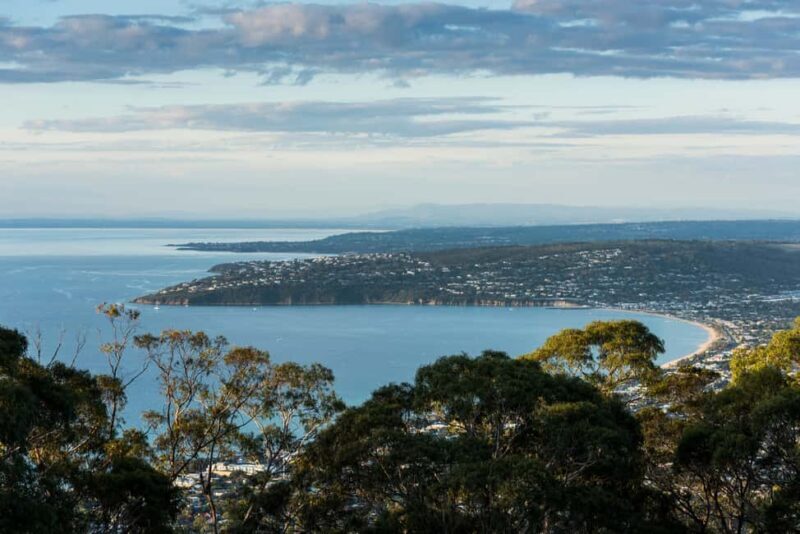 Mornington Peninsula Tour: wildlife, wine, art & hot springs - The Day Begins: Wildlife at Moonlit Sanctuary
