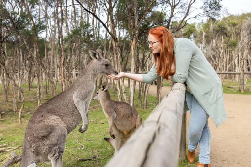 Mornington Peninsula Tour: wildlife, wine, art & hot springs - Optional & Flexible Experiences