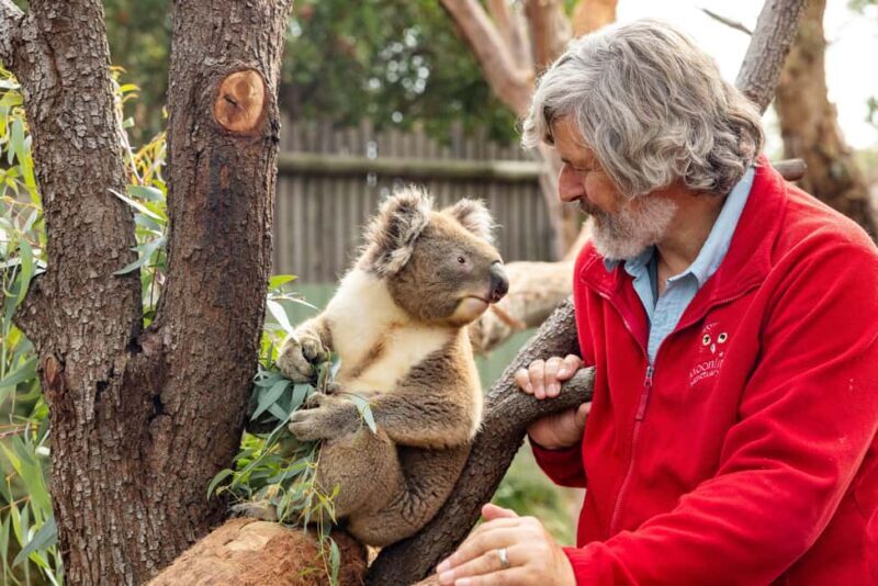 Mornington Peninsula Tour: wildlife, wine, art & hot springs - The Sum Up