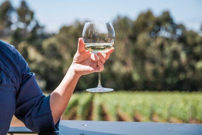 Mornington Peninsula Wine Tasting and Wellness Escape - Key Points