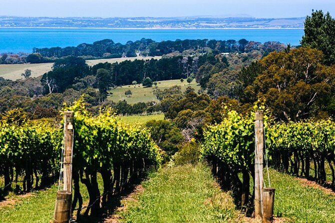 Mornington Peninsula Winery, Beer and Spirits Tour - Final Thoughts