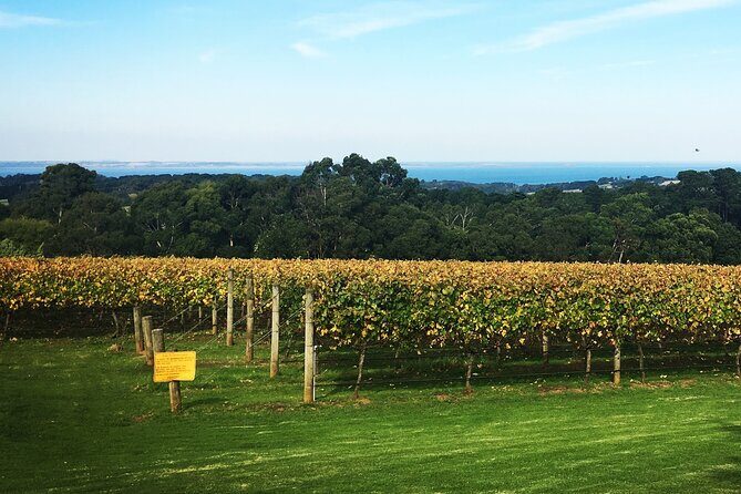Mornington Peninsula Winery Bus Tour including lunch with a glass of wine - FAQs