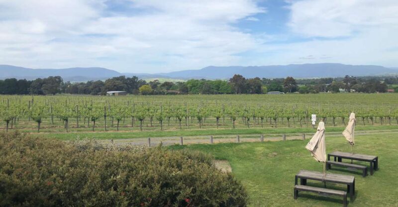 Mornington Peninsula Winery Bus Tour with Lunch & Wine - Key Points