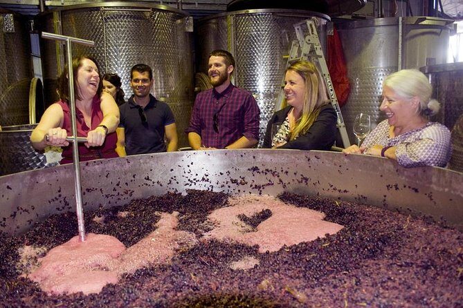 Mornington Peninsula Winery Tour - Lunch Included - Exploring the Mornington Peninsula Winery Tour – Lunch Included