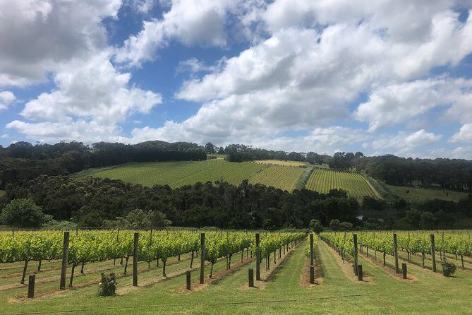 Mornington Peninsula Winery Tour - Lunch Included - Who Should Consider This Tour?