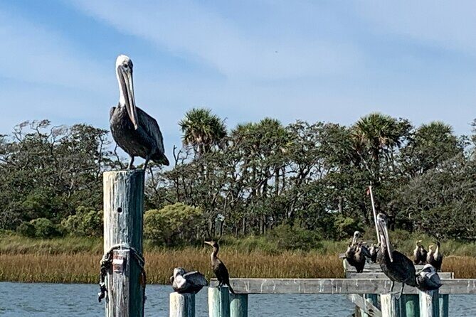 Morris Island Private Excursion - Who Should Consider This Tour?