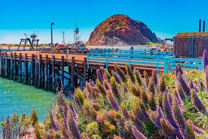 Morro Bay: Private 2 Hour Stroll & Savory Delights Tour - Morro Bay State Park