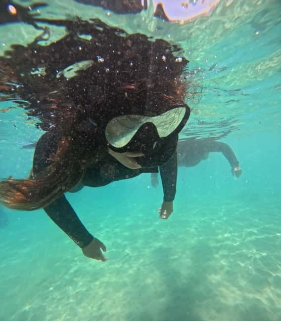 Morro Jable: Snorkeling Adventure - Price and Value
