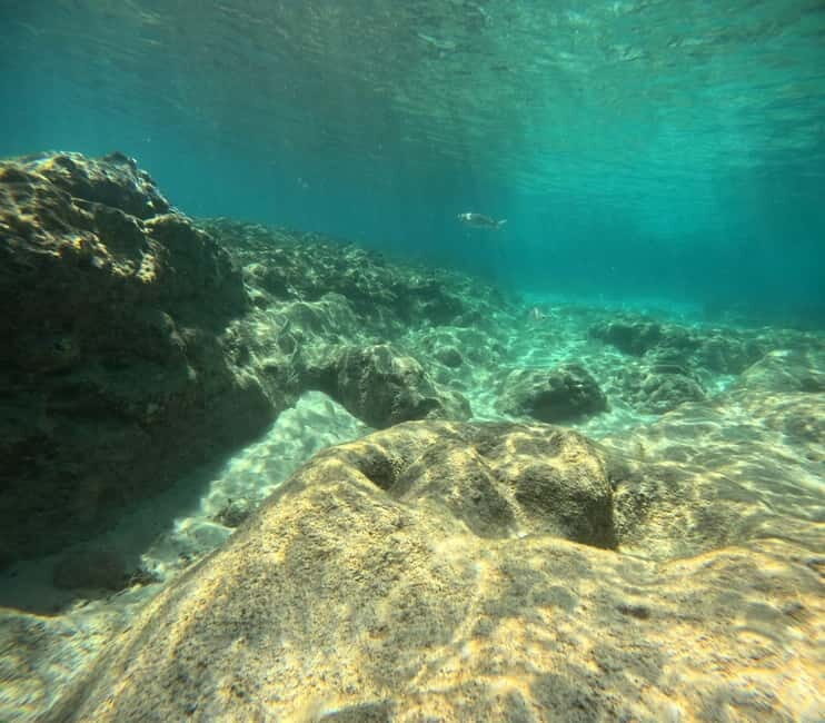 Morro Jable: Try Diving Experience for Beginners - What Makes This Tour Stand Out?