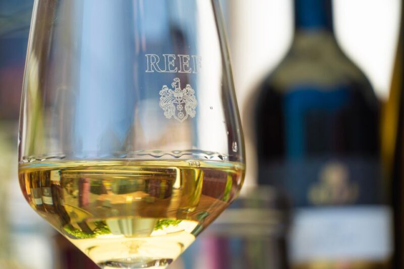 Mosel: Accompanied wine tasting directly at the winery - Discover the Charm of Mosel with a Private Winery Experience