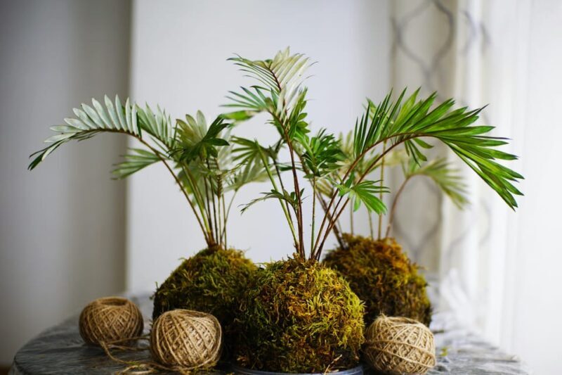 Moss & Floral Frame Making Workshop - The Location and Accessibility