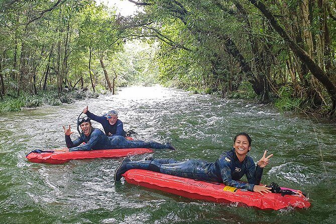 Mossman Gorge Adventure Day - What You’ll Appreciate: Guides and Scenery