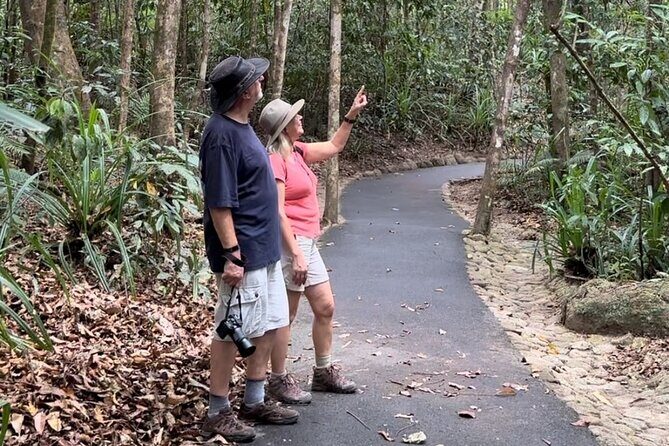 Mossman Gorge Daintree Experience Small Groups - Introduction