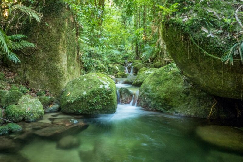 Mossman Gorge: Day Tour with River Drift Experience - Key Points