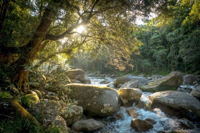 Mossman Gorge: Day Tour with River Drift Experience - Exploring Mossman Gorge: A Rich Natural and Cultural Experience
