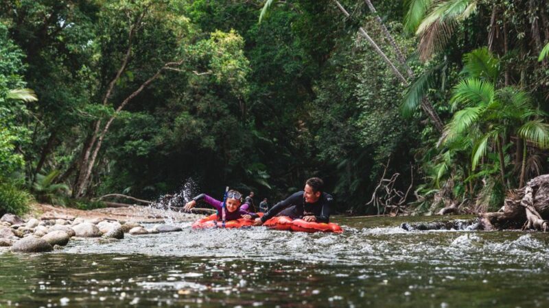 Mossman Gorge: Day Tour with River Drift Experience - Why This Tour is a Great Investment