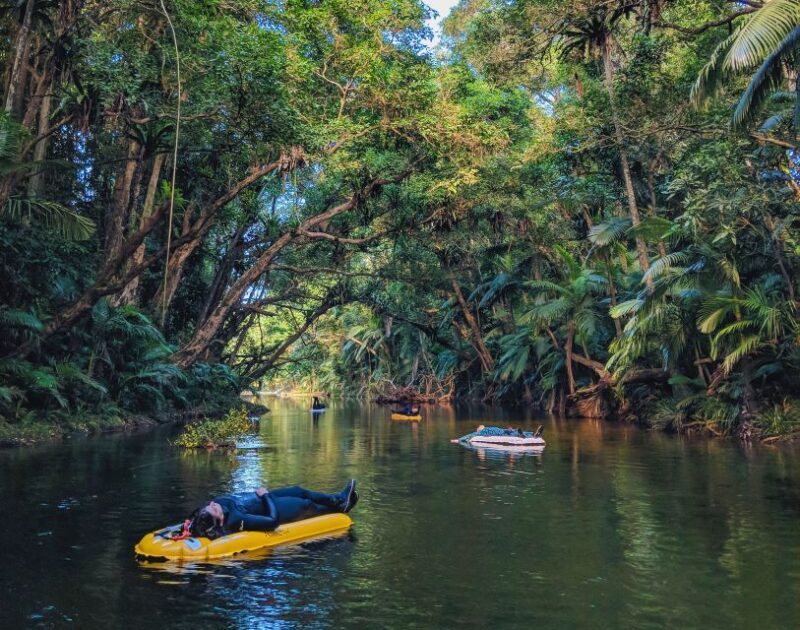 Mossman Gorge: Day Tour with River Drift Experience - Who Should Consider This Tour?