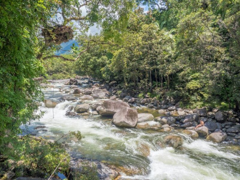 Mossman Gorge: Day Tour with River Drift Experience - Frequently Asked Questions