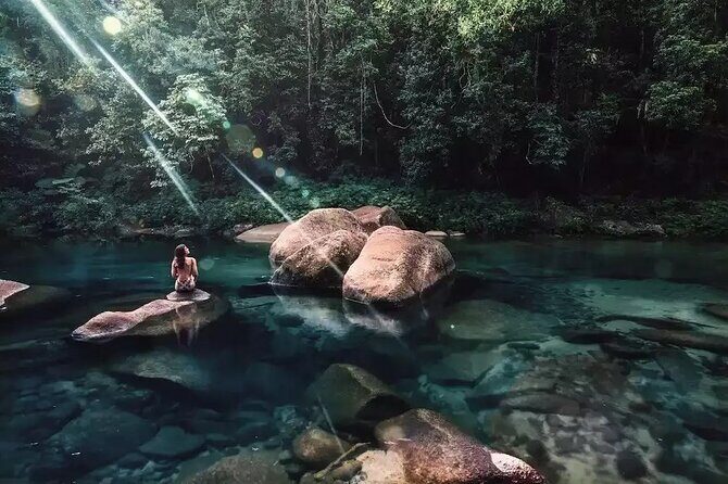 MOSSMAN GORGE TRANSFER between Port Douglas and Mossman Gorge (return) - Key Points