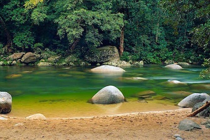 MOSSMAN GORGE TRANSFER between Port Douglas and Mossman Gorge (return) - An In-Depth Look at the Mossman Gorge Transfer