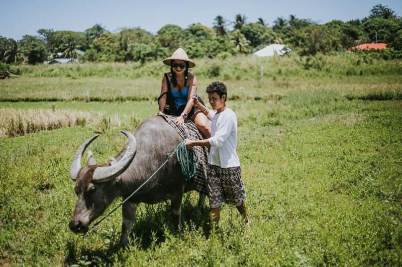 Motag Living Museum and ATV Ride - The Practicalities: What You Need to Know