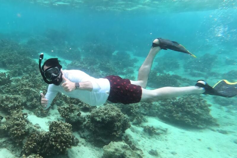Motobu: Kayak and Snorkel Private Booking - Final Thoughts: Who Will Love This Tour?
