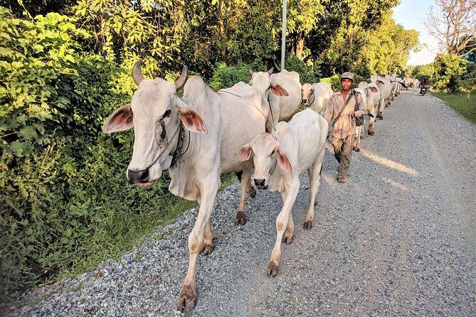 MotoGirl - Day Adventure Tour - Key Points