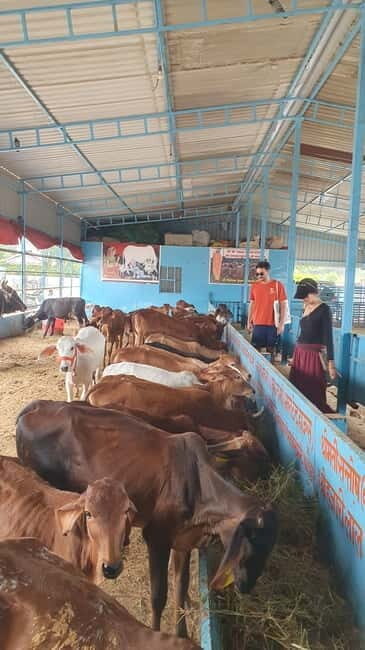 Motor bike ride to Baidhnath shiva temple and trekking - Whats Included and What to Bring