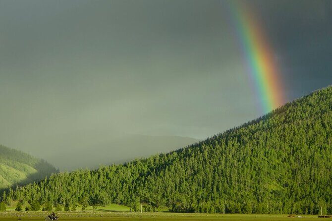 Motorcycle trip-Genghis Khan Statue complex, camel riding & Lunch - The Sum Up