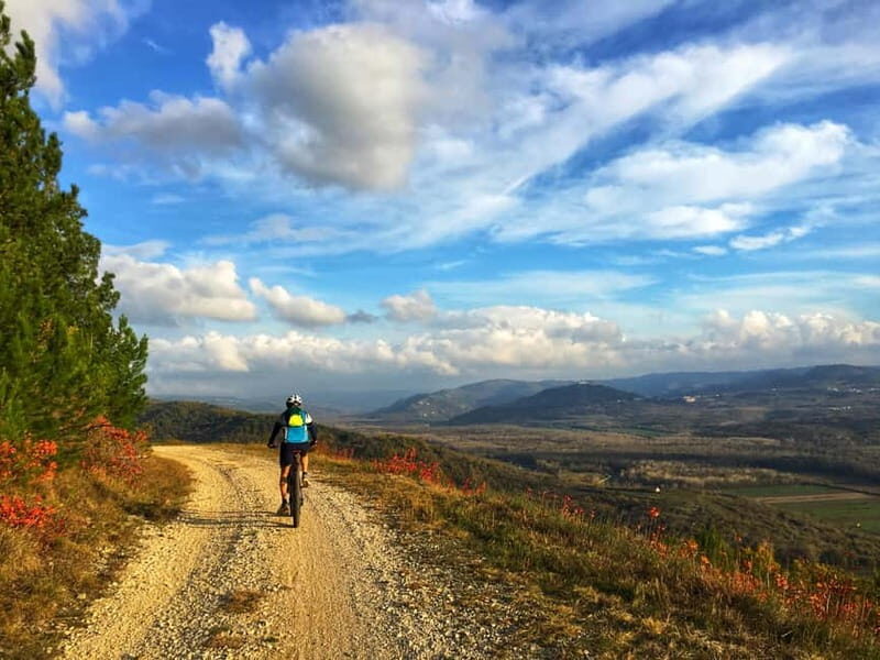 Motovun: E-Bike Tour in Istria - An In-Depth Look at the E-Bike Tour Experience