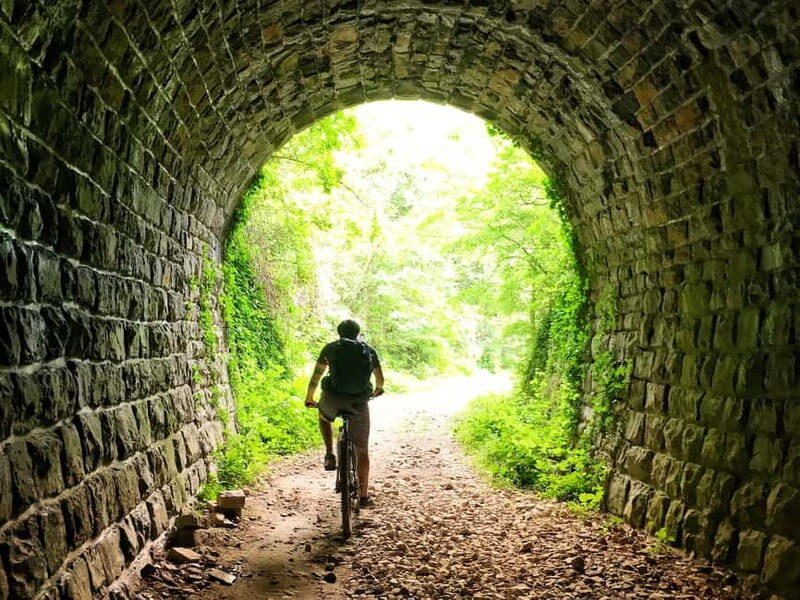 Motovun: E-Bike Tour in Istria - The Value of This Experience