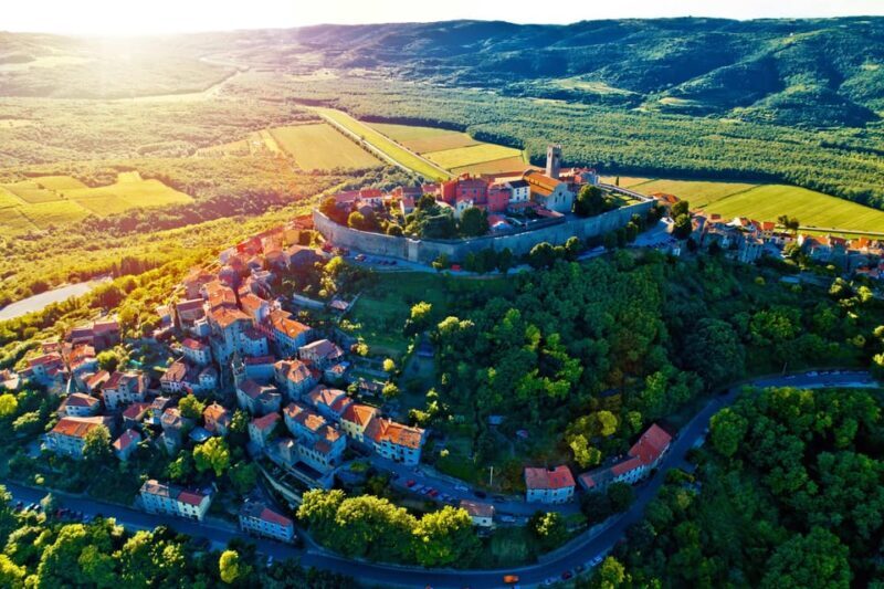 Motovun: The trail of Giants hiking tour & Fritule Tasting - A Closer Look at the Experience