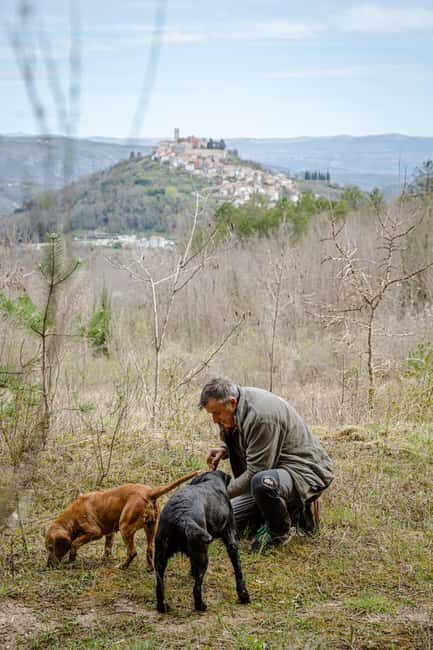 Motovun: Truffle Hunt & 3-Course Brunch with Locals - The Experience’s Value
