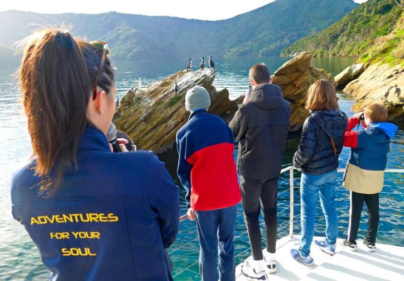 Motuara Island Sanctuary: Wildlife & Dolphin Watching Tour - Introduction