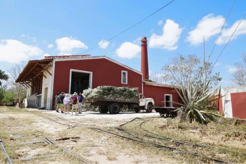 Motul, Hacienda, Xcambo, Pink Salt Mine & Progreso Day Trip - What Makes This Tour Stand Out