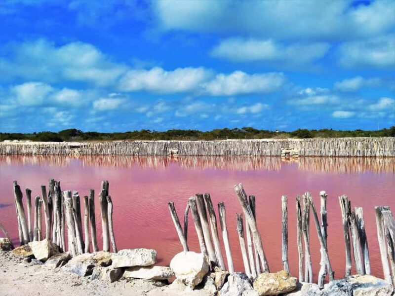 Motul, Hacienda, Xcambo, Pink Salt Mine & Progreso Day Trip - The Sum Up