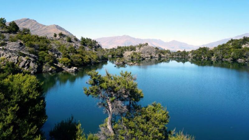 Mou Waho Island: 3-Hour Cruise and Guided Nature Walk - Overall Value and Who Will Love It