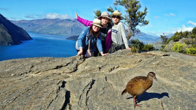 Mou Waho Island: 3-Hour Cruise and Guided Nature Walk - FAQs