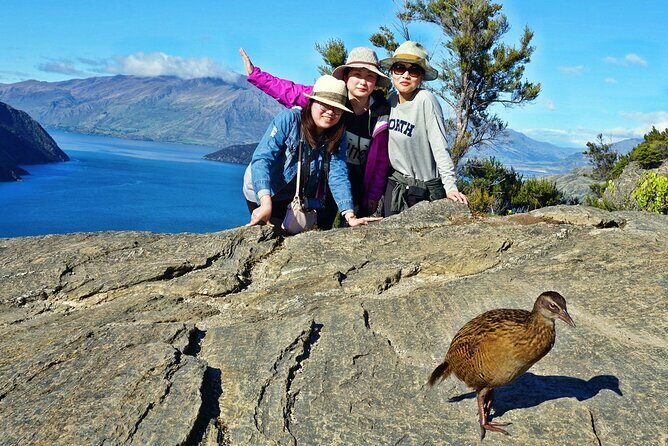 Mou Waho Island Cruise & Self-Guided Nature Walk - A Closer Look at the Experience