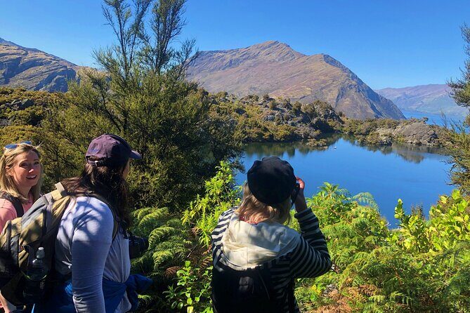 Mou Waho Island Cruise & Self-Guided Nature Walk - The Return Journey: Crooning Lake Wanaka