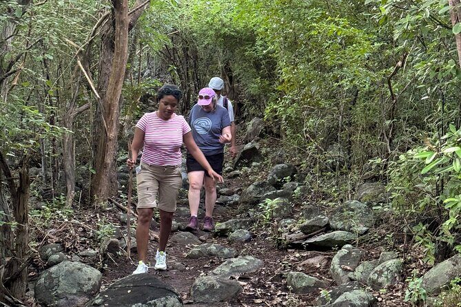 Mount Alma Hike And Beach Excursion (cruise ship friendly ) - Scenic Drive Back to the Cruise Pier