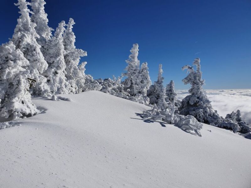 Mount Arber: Snowshoeing in the Bavarian Forest Guided Tour - Exploring Mount Arber: A Closer Look