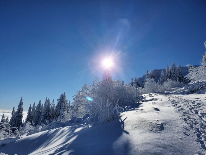 Mount Arber: Snowshoeing in the Bavarian Forest Guided Tour - Who Should Consider This Tour?