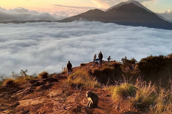 Mount Batur Hiking With Terraced paddy Field Visit - Key Points