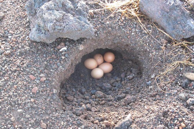 Mount Batur Sunrise Trekking With Breakfas - The Itinerary in Detail