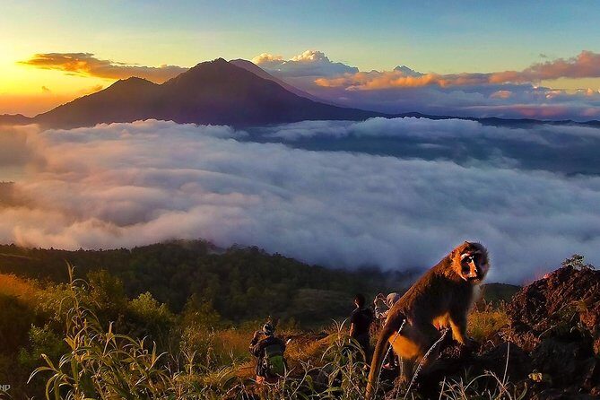 Mount Batur Sunrise Trekking With Breakfas - Who Should Consider This Tour?