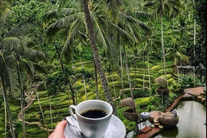 Mount Batur Sunrise Trekking&Natural Hot Springs All Inclusive - Whats Included and Whats Not